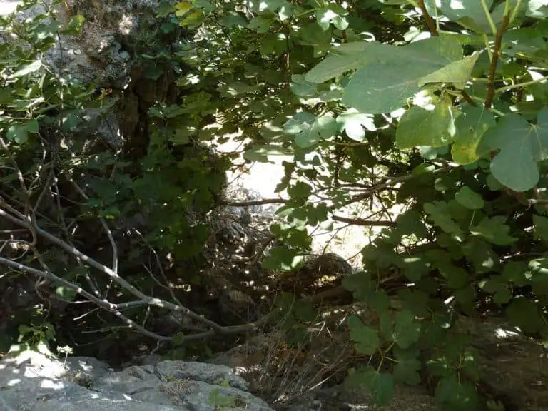 Pythagoras Caves Samos Greece - Mindful Experiences Greece