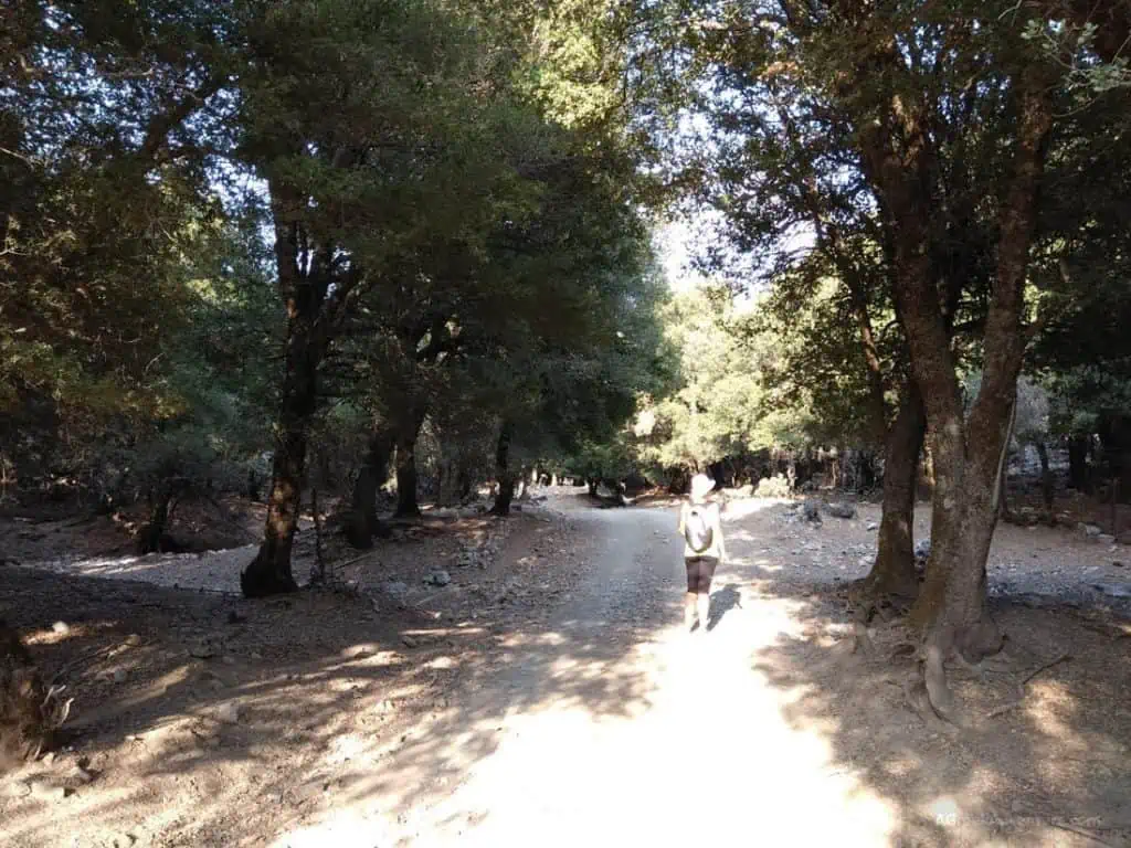 Best Hiking Mount Ida Greece Trip 2023 - Mindful Experiences Greece